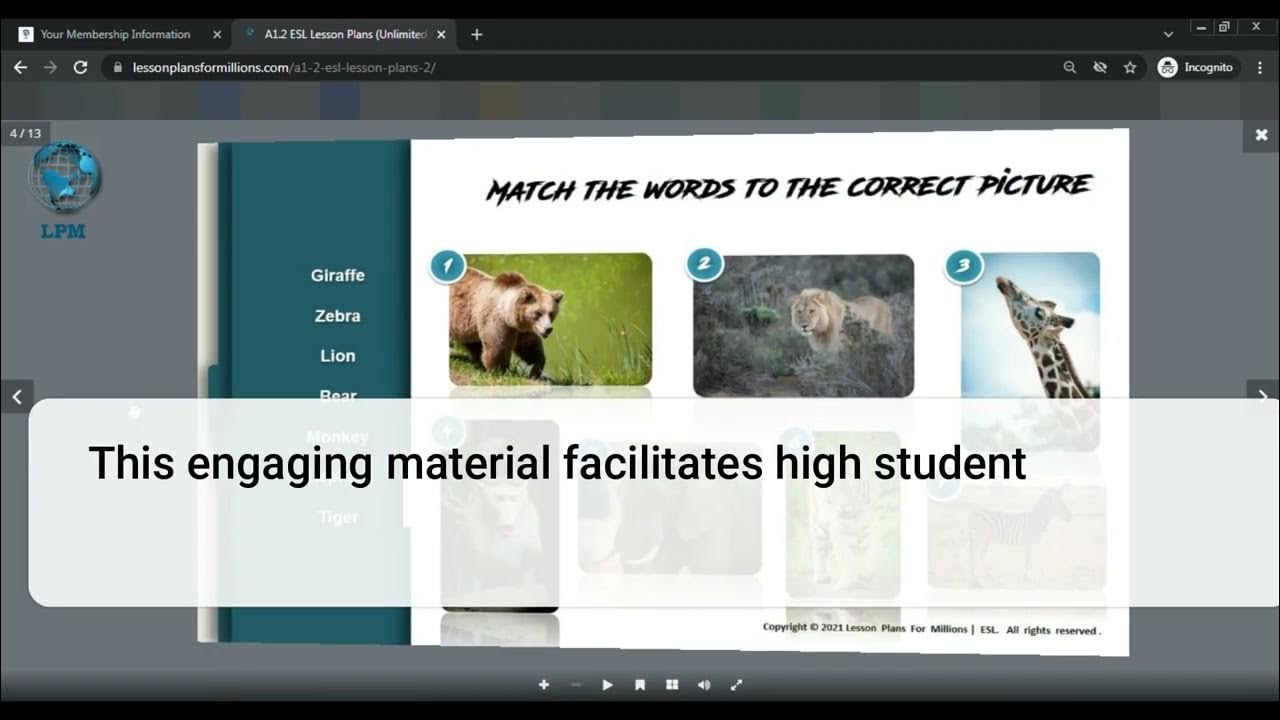 A1. 2 ESL Lesson Plans - Wild Animals - YouTube