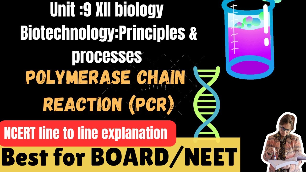 XII- Biotechnology ( polymerase chain reaction) PCR ,denaturation, annealing, extension! - YouTube