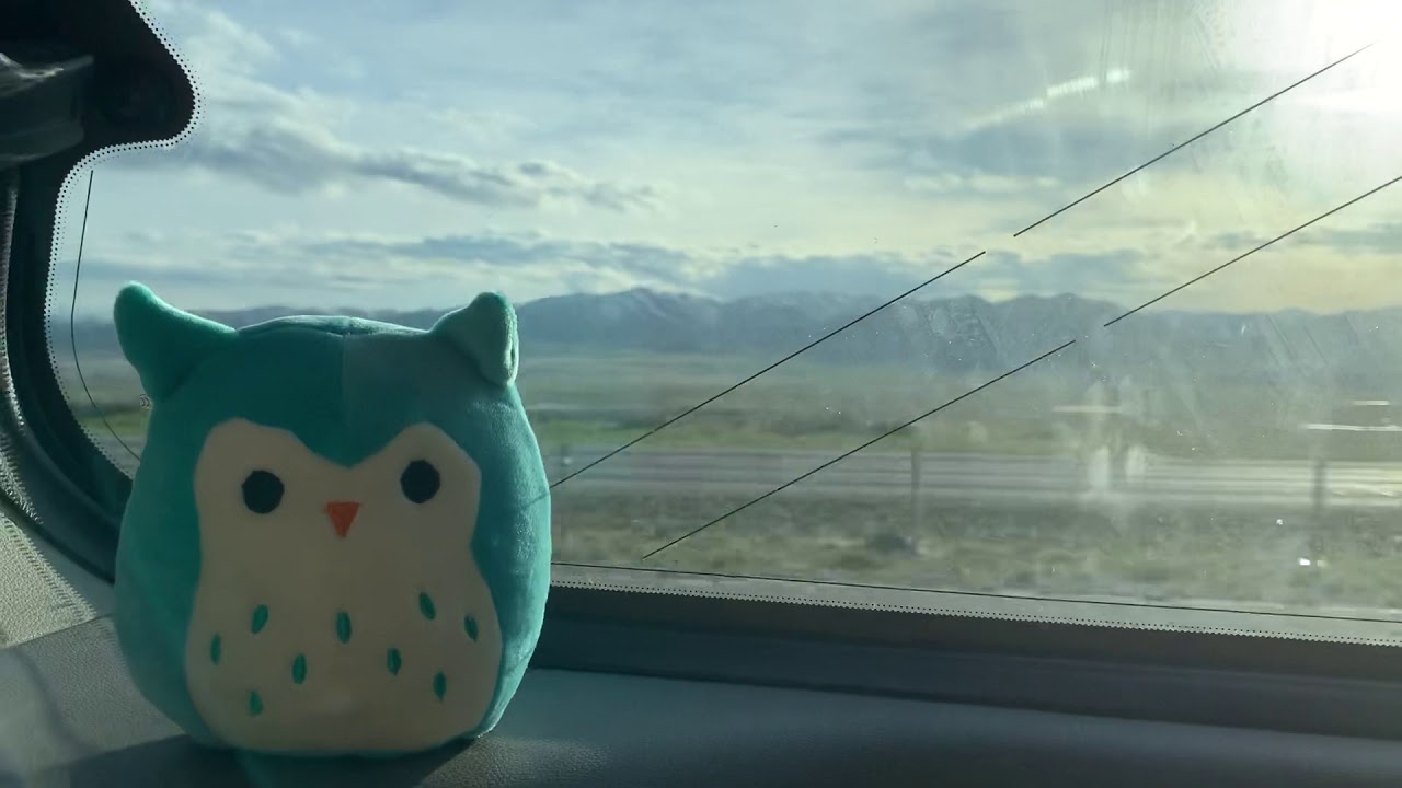 McKell Traveling Adventures movie of stuffy. - YouTube