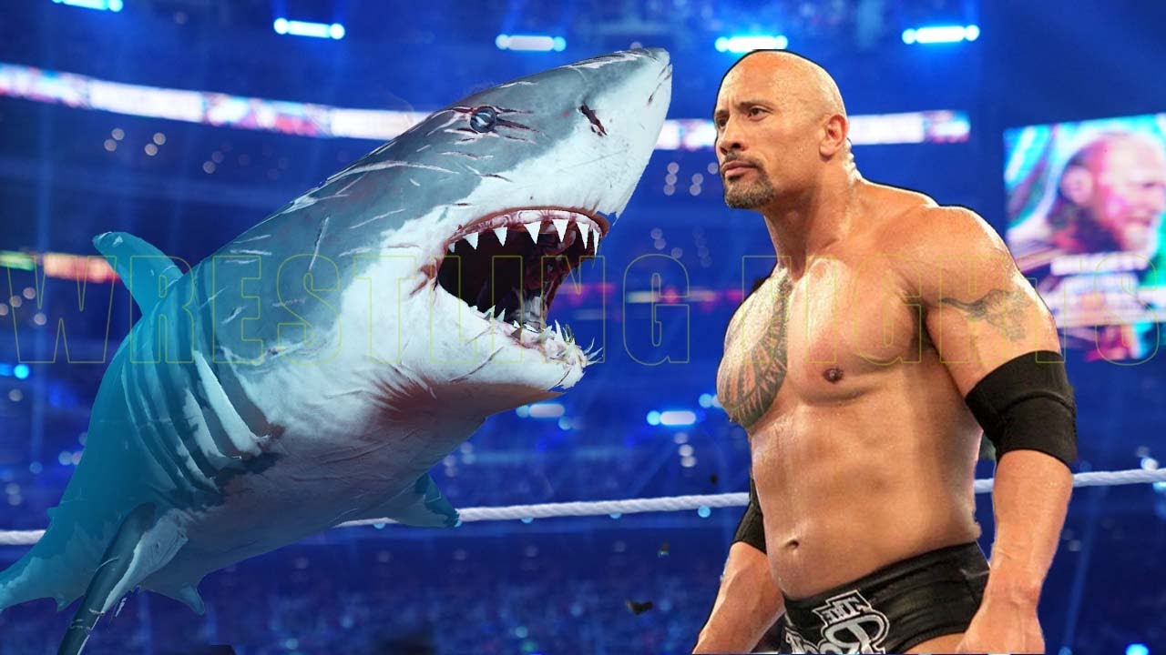 The Rock v Shark Boy Match Wrestling Fights - YouTube