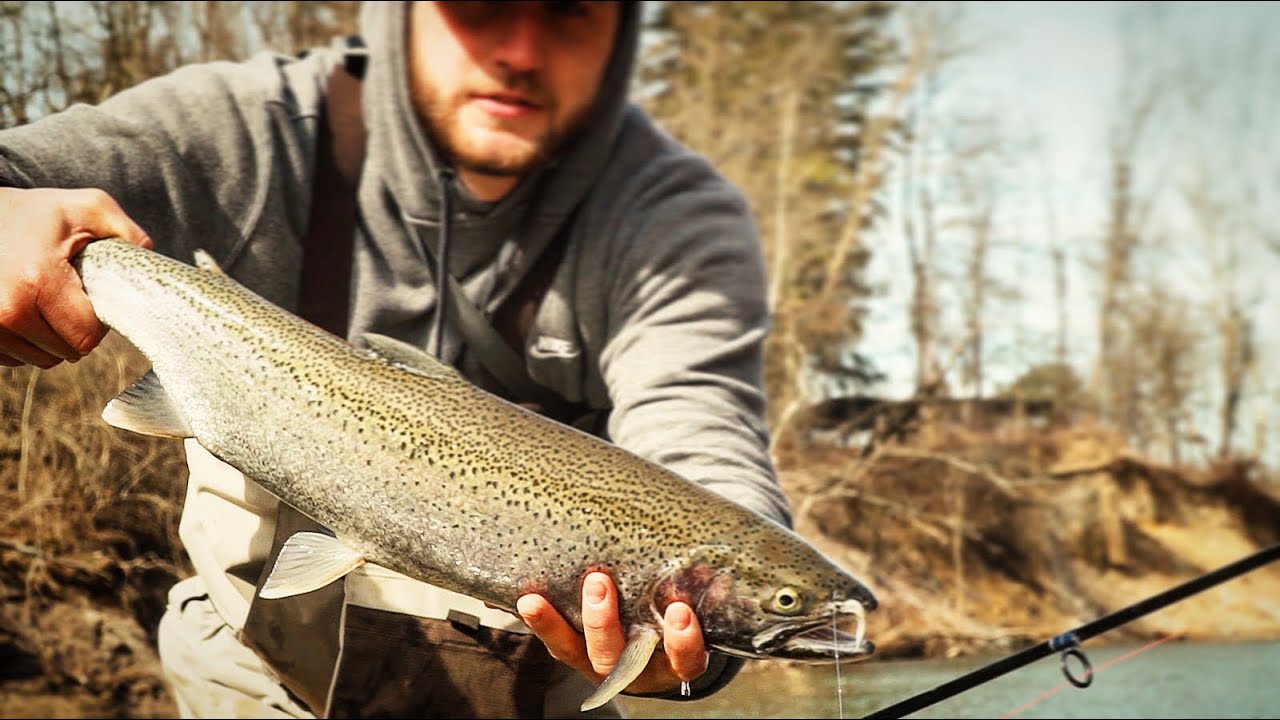 CRAZY GOOD DAY! Spring Steelhead Run - YouTube
