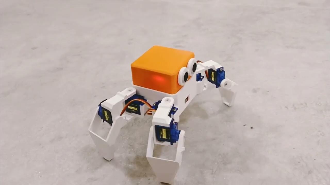 OTTO SPIDER ROBOT#robotics #education#ottodiy - YouTube