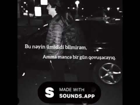 WhatsApp. Durumları
