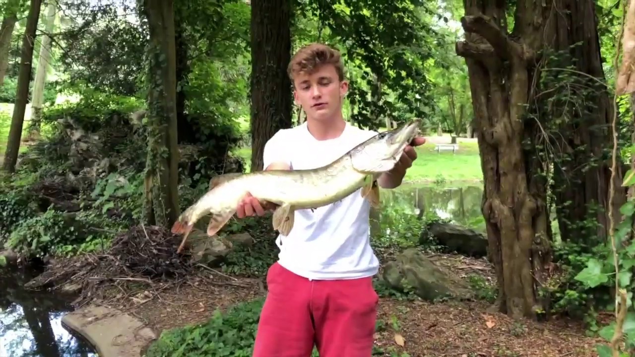 Comment Pêcher Un Gros Brochet Au Vif Brochet De 87cm à Vue