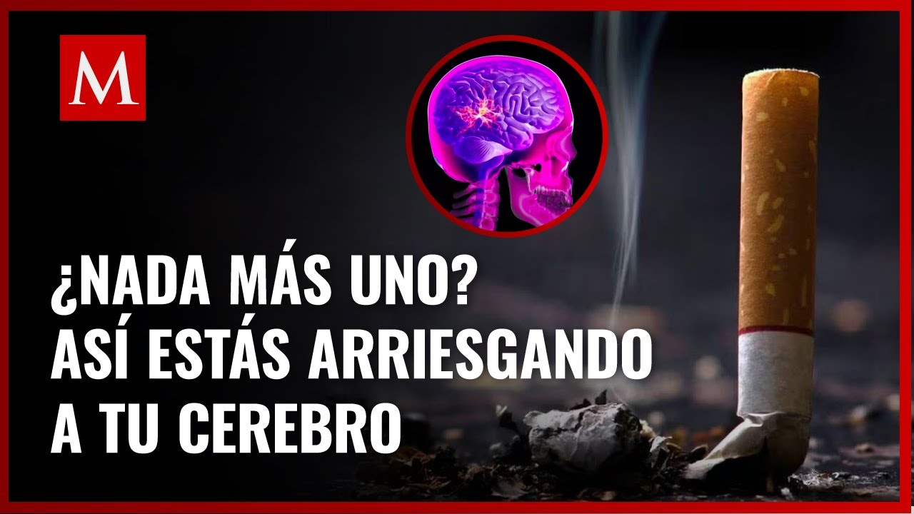 Efectos Del Tabaquismo En El Cerebro Por Qué Estamos Perdiendo Poco A