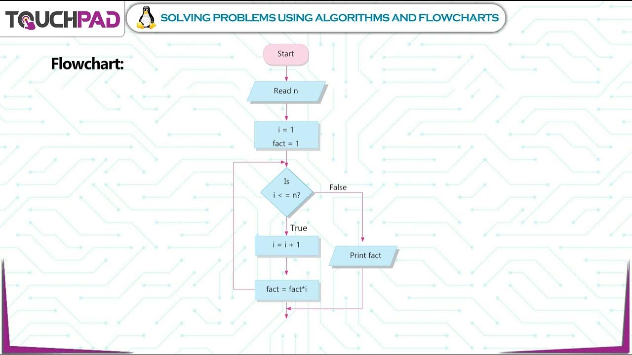 Solving Problems Using Algorithms and Flowcharts |𝐂𝐡 08 |Plus 𝐕𝐞𝐫3.𝟏|𝐂𝐥𝐚𝐬𝐬 𝟎6 - YouTube