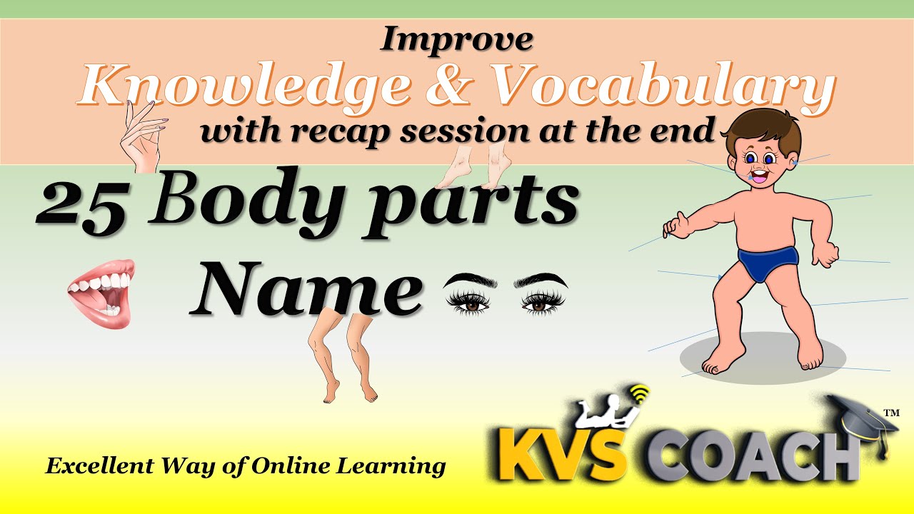 Learn about 25 Body Parts Name to Improve Knowledge & Vocabulary of ...