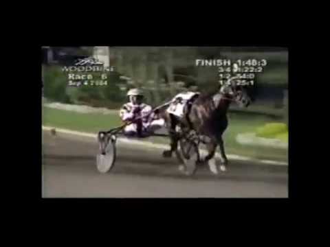 2004 Woodbine CASIMIR CAMOTION Canadian Pacing Derby Final Patrick Lachance - YouTube
