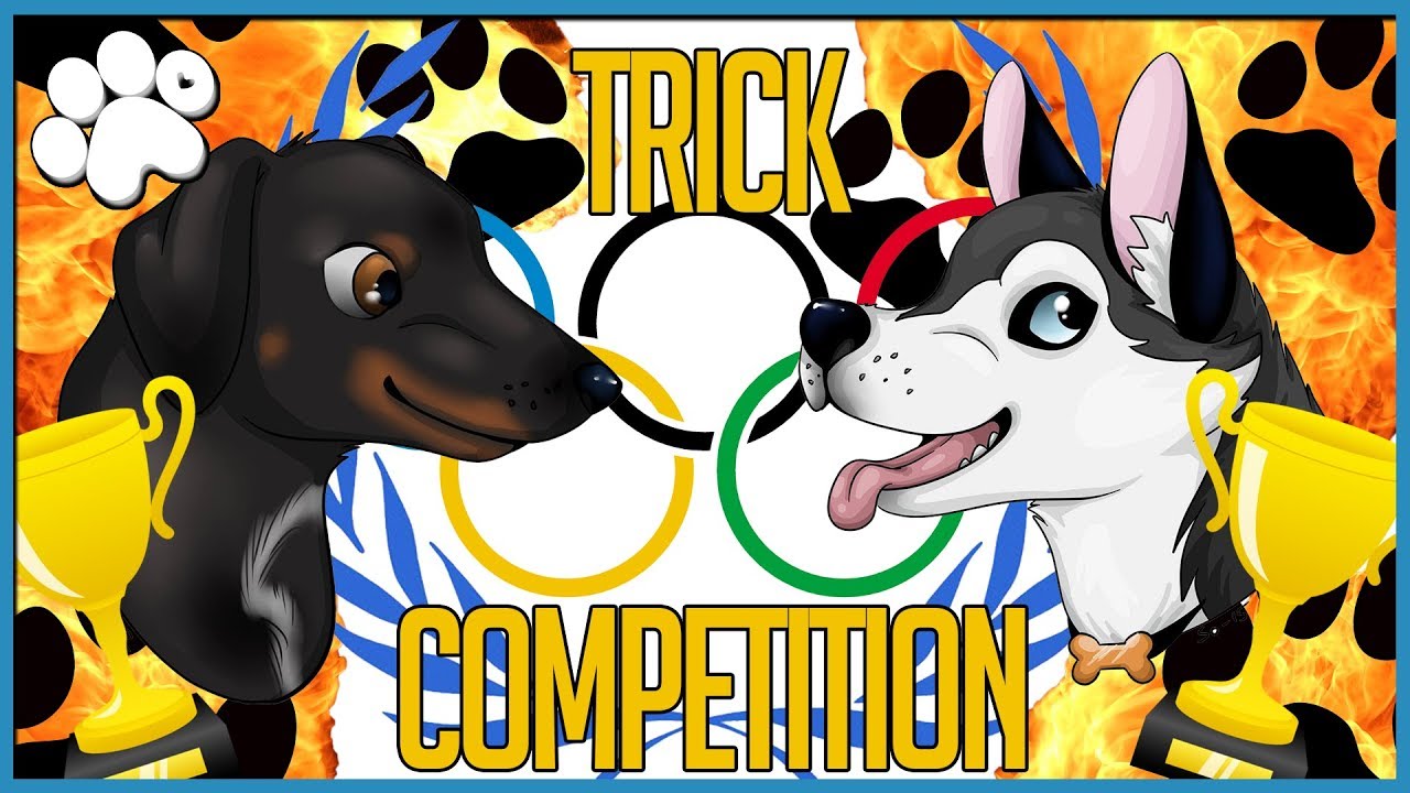 DOGGY TRICK COMPETITION! (who will win???) - YouTube