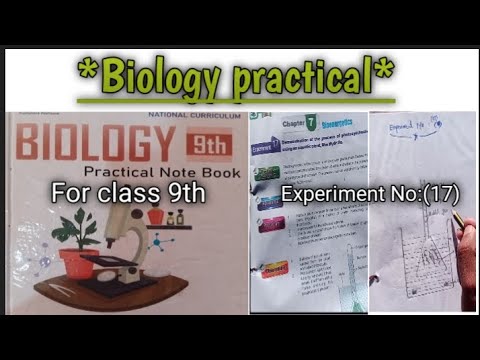 Biology practical of class 9th | How to draw experiment No: (17) - YouTube