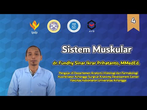 dr. Fundhy, MMedEd. (Sistem Muskular) Seg 4