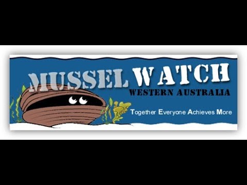 Carter's Freshwater Mussel - YouTube