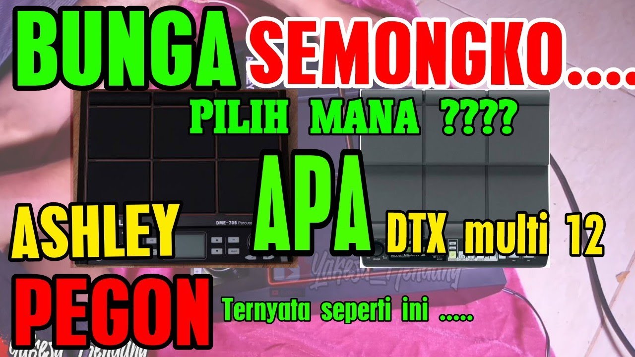 BUNGA semongko PEGON JARANAN ASHLEY 705 - YouTube