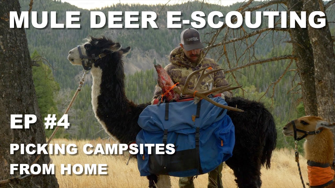 E-SCOUTING FOR MULE DEER: FINDING A CAMPSITE FROM HOME - EP4 - YouTube