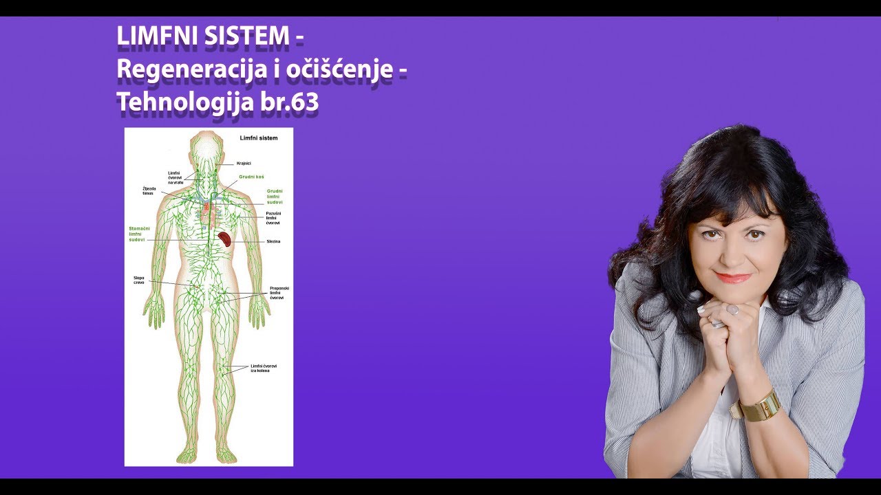 LIMFNI SISTEM - Tehnologija br.63 - YouTube
