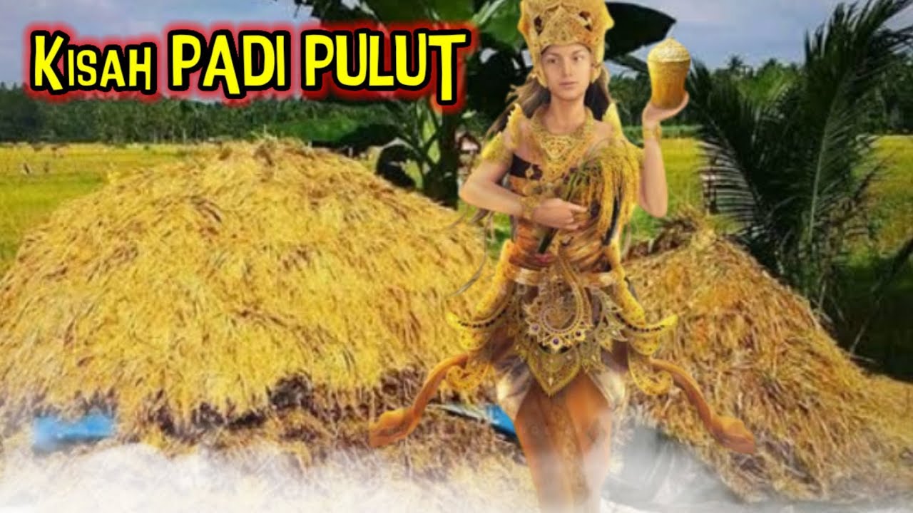 Kisah PADI PULUT - Sumatera Utara - YouTube