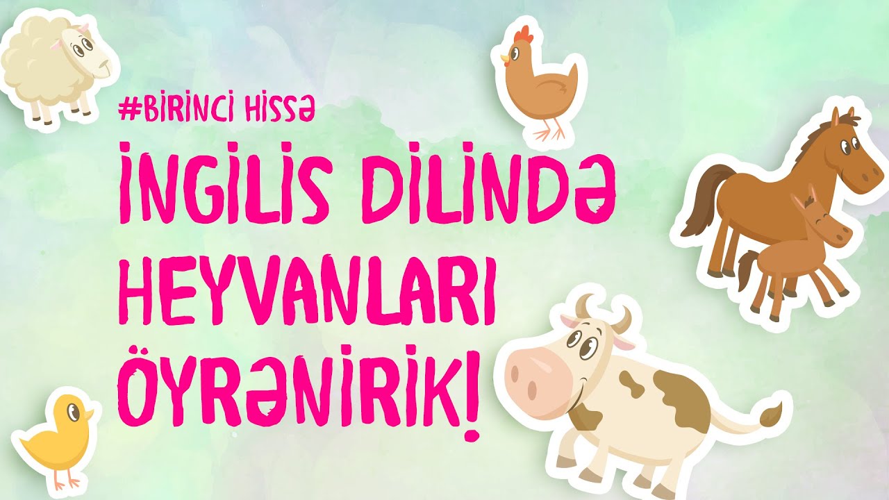 İNGİLİS DİLİNDƏ HEYVANLARI ÖYRƏNƏK! (Azərbaycan dilində qarşılığı ilə ...