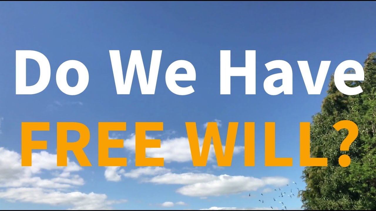 Introduction to Free Will—Understanding Determinism v Compatibilism v ...