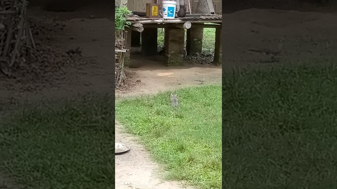 rrrr ffffff mmmmml - YouTube