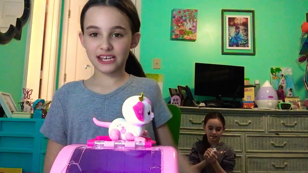 My Little Live Pets Lil Cutie Pup - YouTube