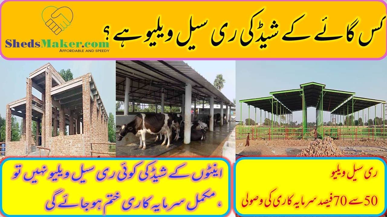 Why Cow Shed Structure should be made with Iron Or Warehouse Sheds ...