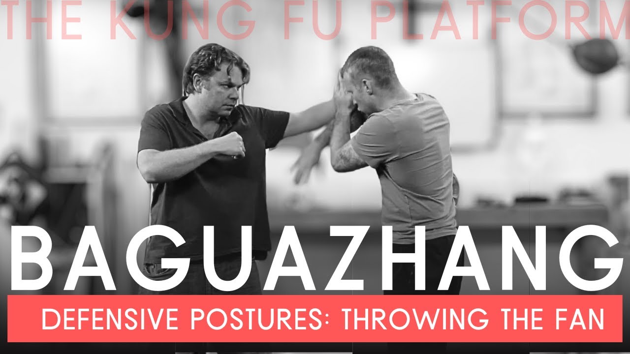 BAGUAZHANG KUNG FU: Defensive Postures - YouTube