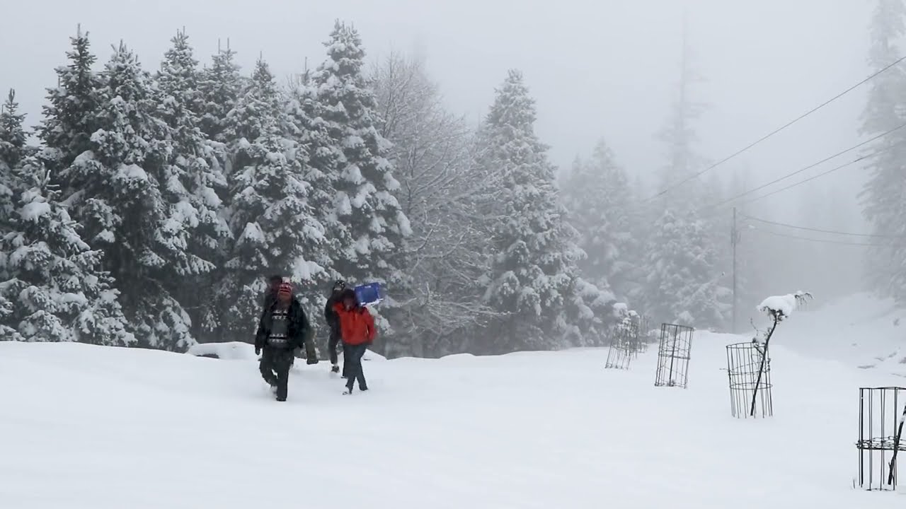 Heavy Snowfall in Manali | Hampta || Rohtang Pass || Lahaul || Jispa ...