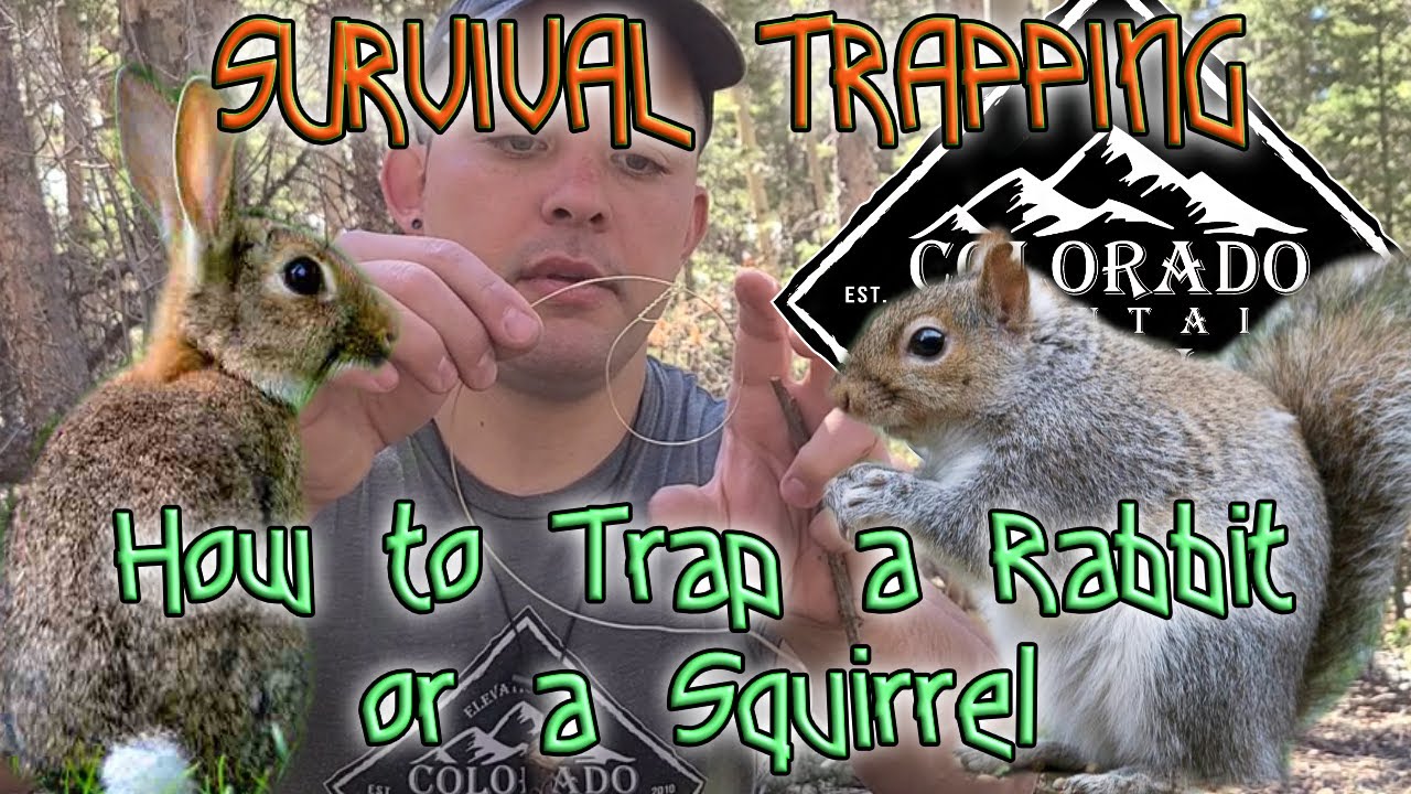 How to Load and Set and Snare Wire - YouTube
