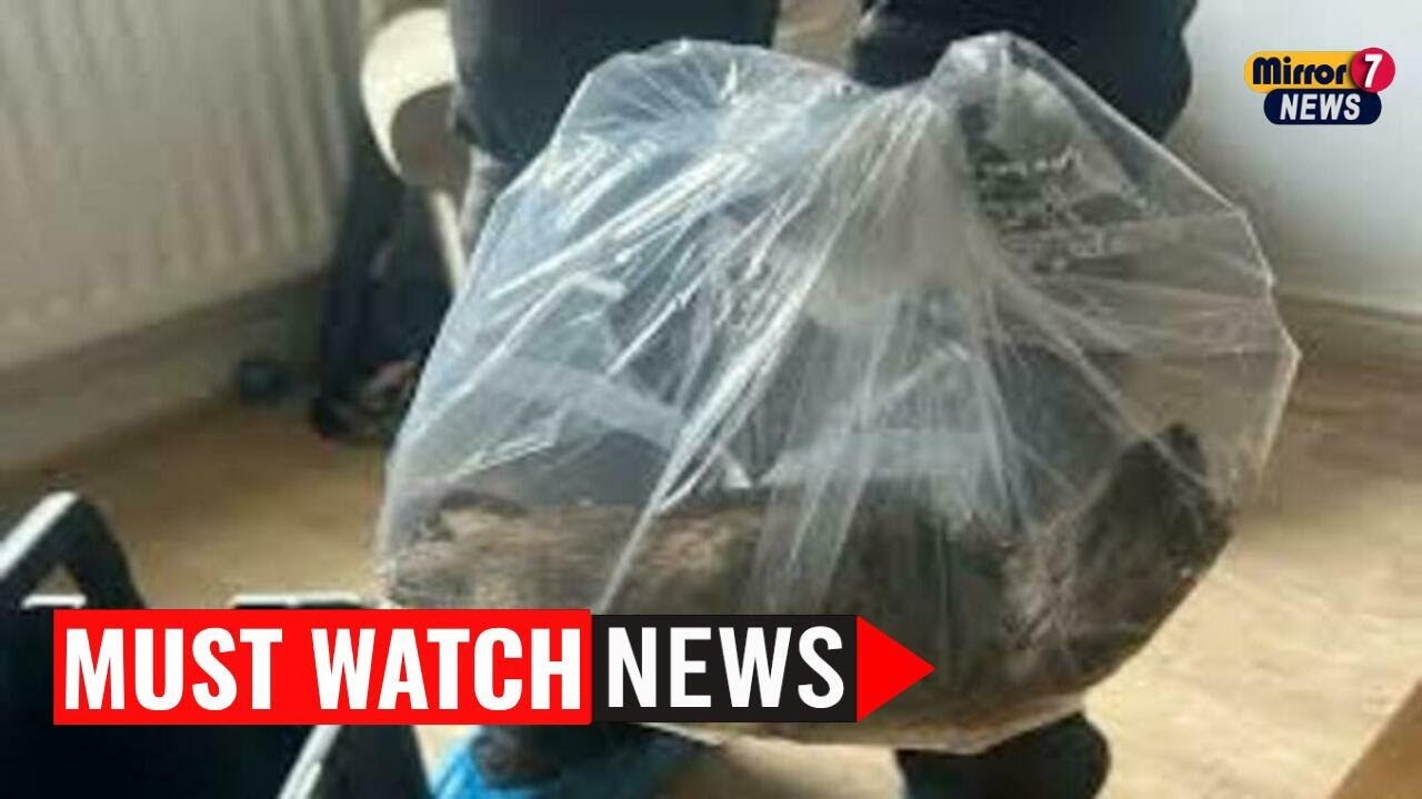 22-Inch Rat Found in Home Sparks UK-Wide Rodent Warning - YouTube