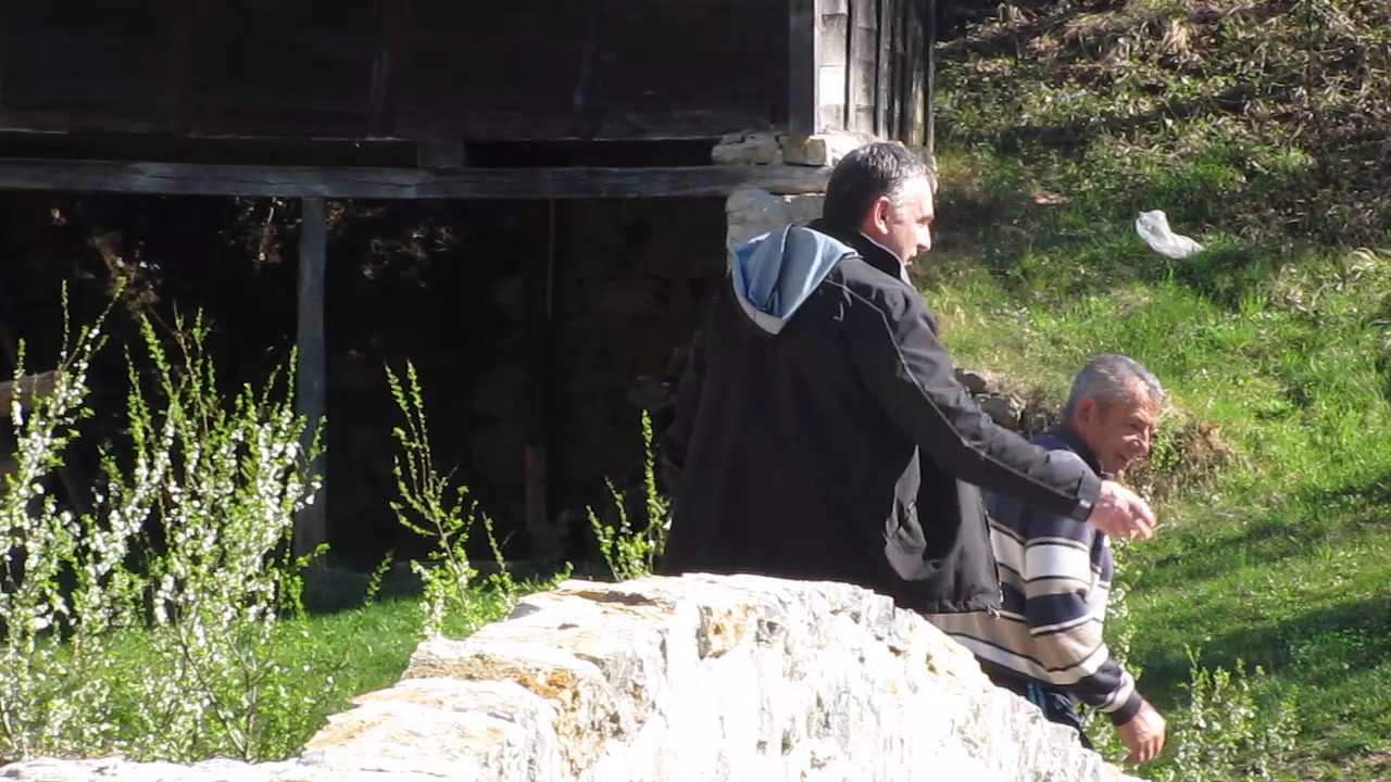 Simic Zoran - YouTube