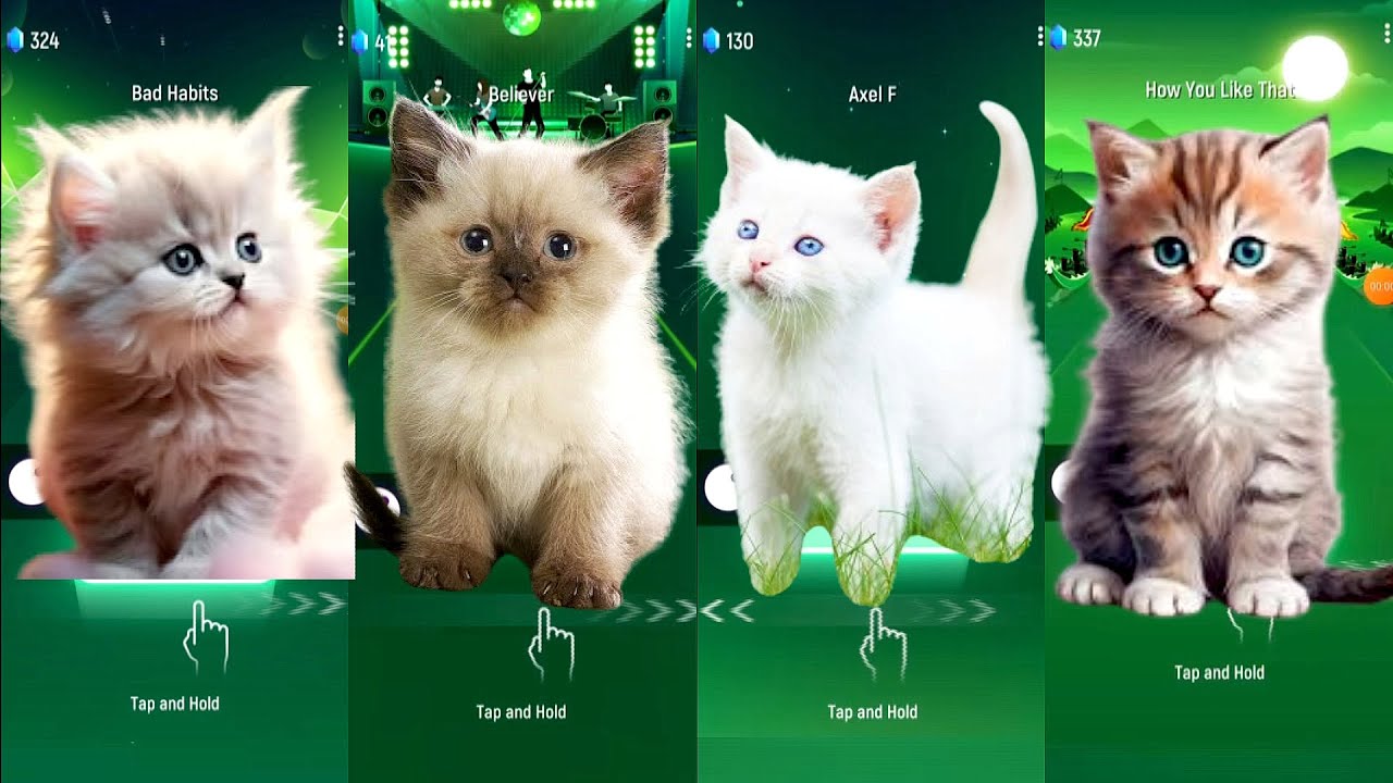 All Cute Kittens - Bongo Cat _ BTS 🆚 K-391 & Alan Walker 🆚 Savage Love ...