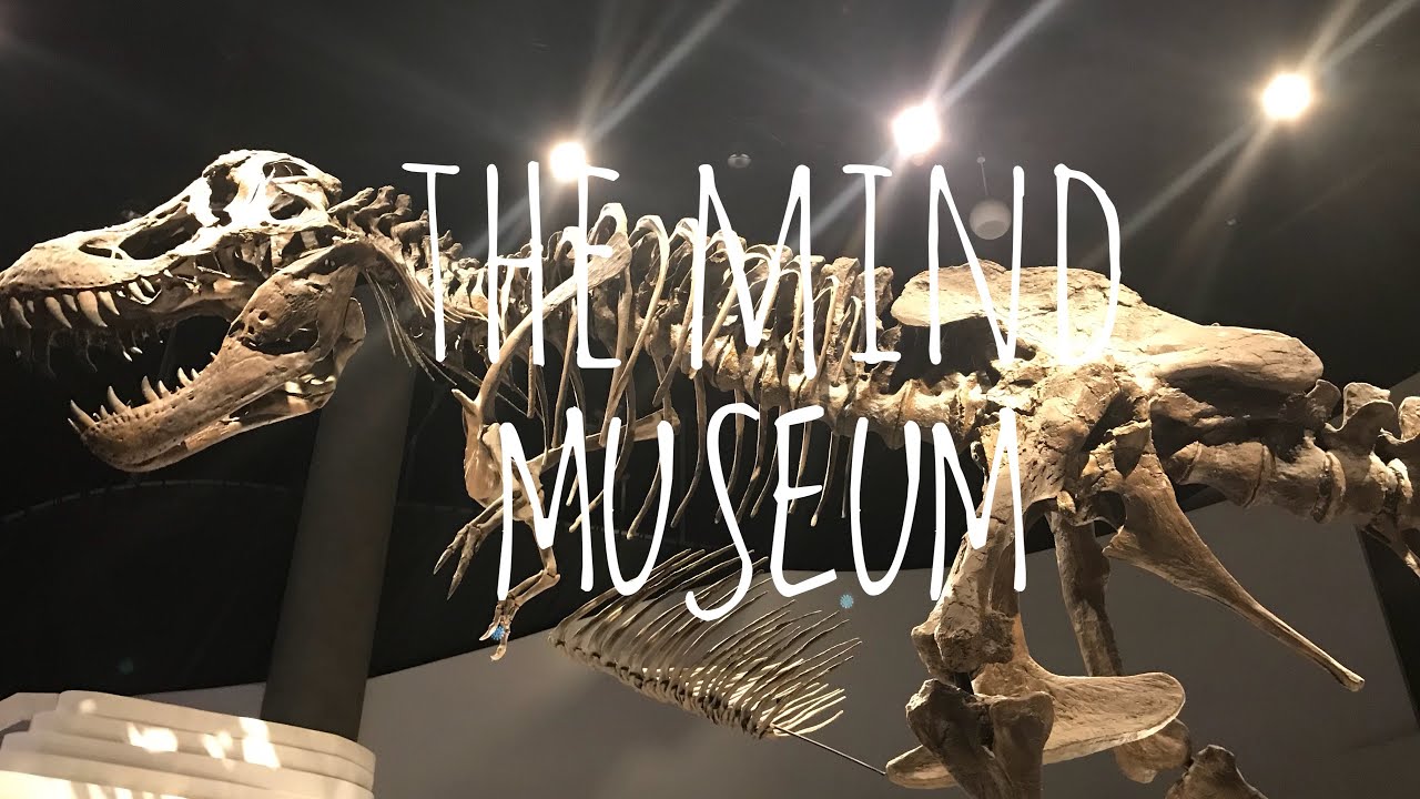 Science Comes to Life at The Mind Museum - YouTube