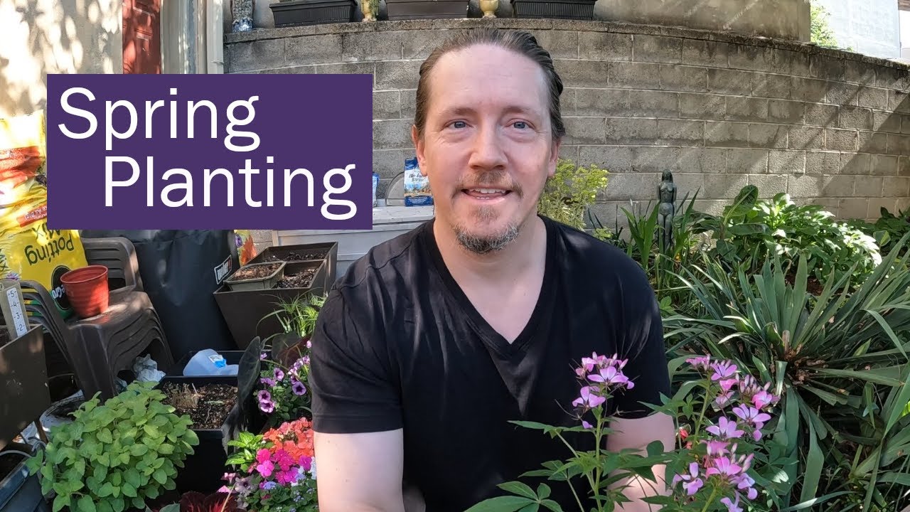 Planting my garden pt 1 | Container gardening - YouTube