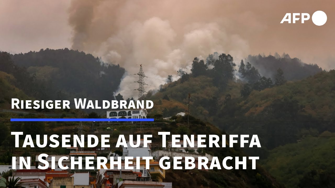 Feuer auf Teneriffa: Mehr als 12.000 Menschen in Sicherheit gebracht ...
