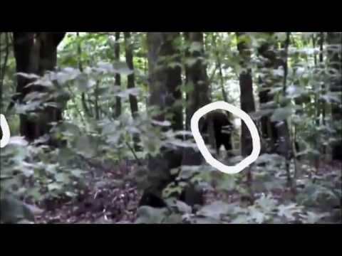 REAL BIGFOOT CAUGHT ON CAMERA 2015. [PROOF/EVIDENCE] - YouTube