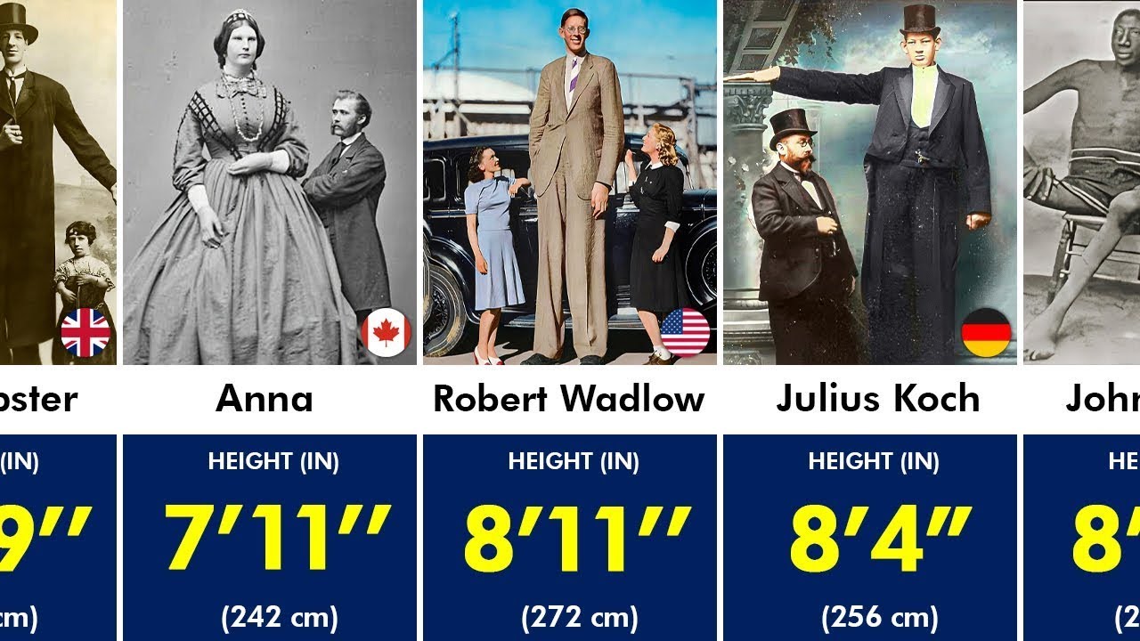 Top 20 Tallest Human in History You Won’t Believe #1| Unbelievable ...