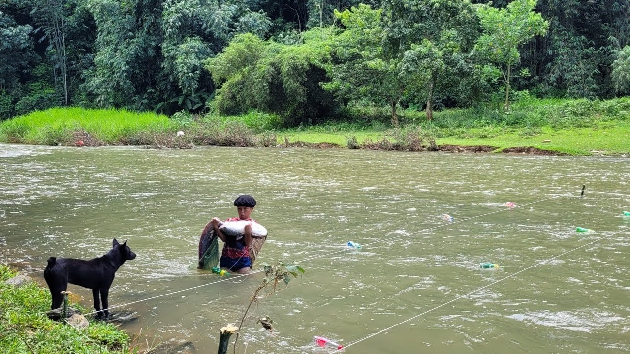 Thang's SURPRISING 20kg Fish Haul from a Single Stream - YouTube