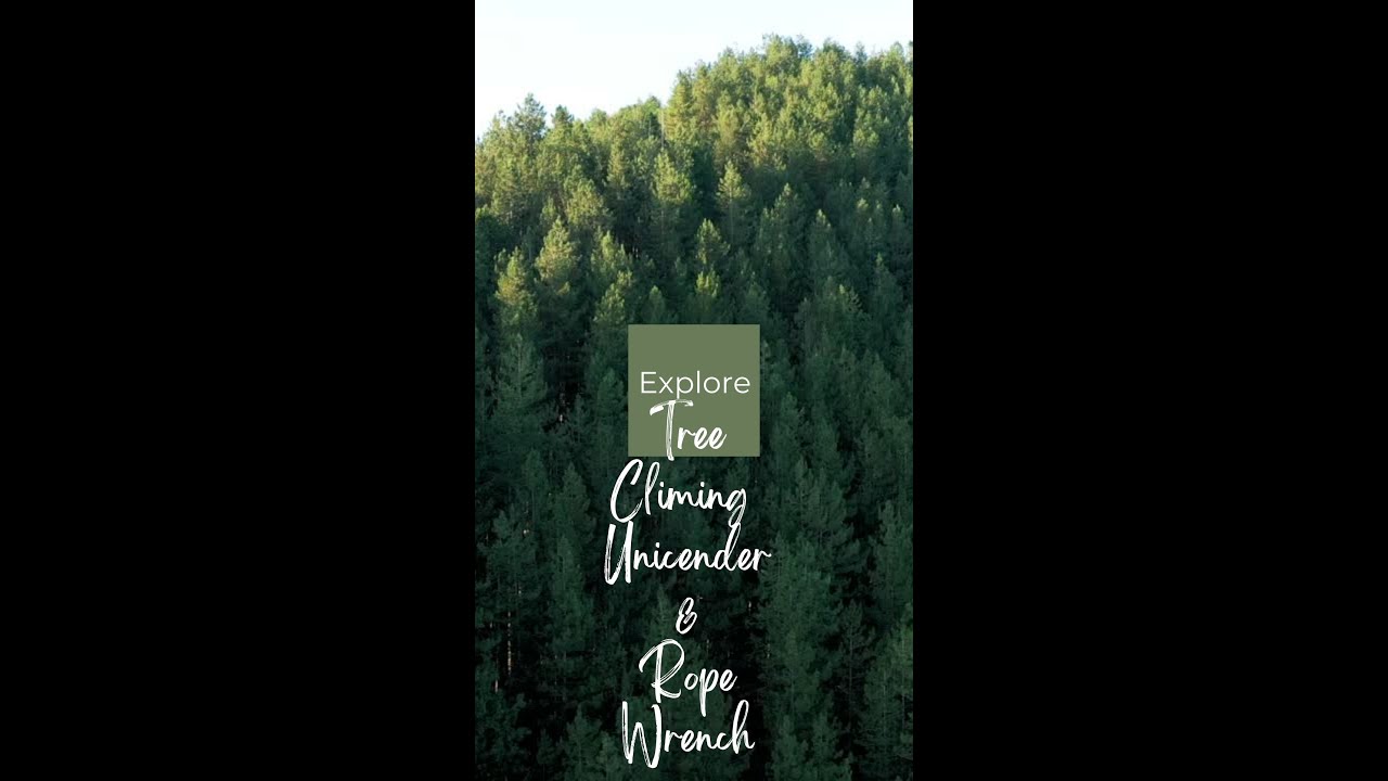 Tree Climbing for Fun: Single Rope Technique with Unicender and Rope ...