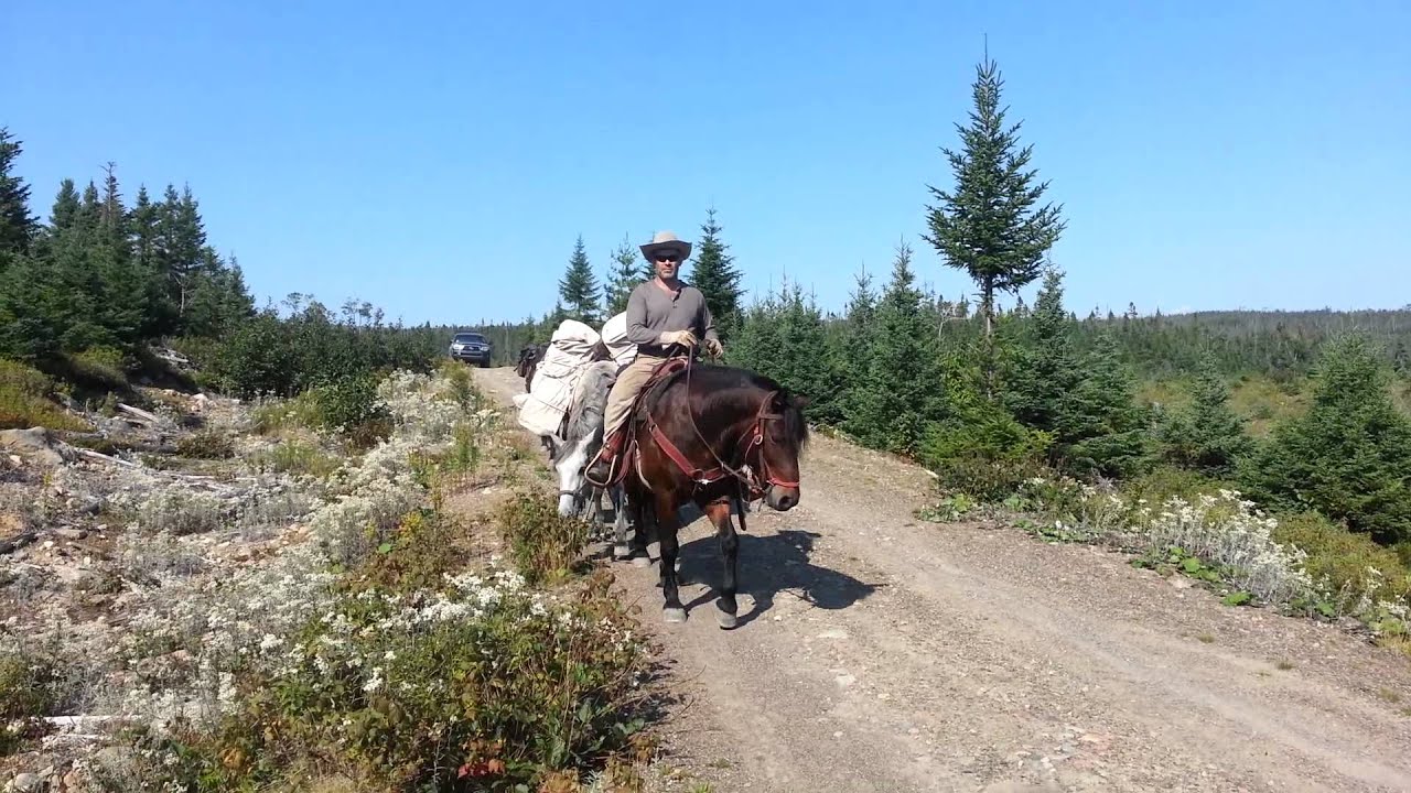 Trekking on horseback Newfoundland - YouTube