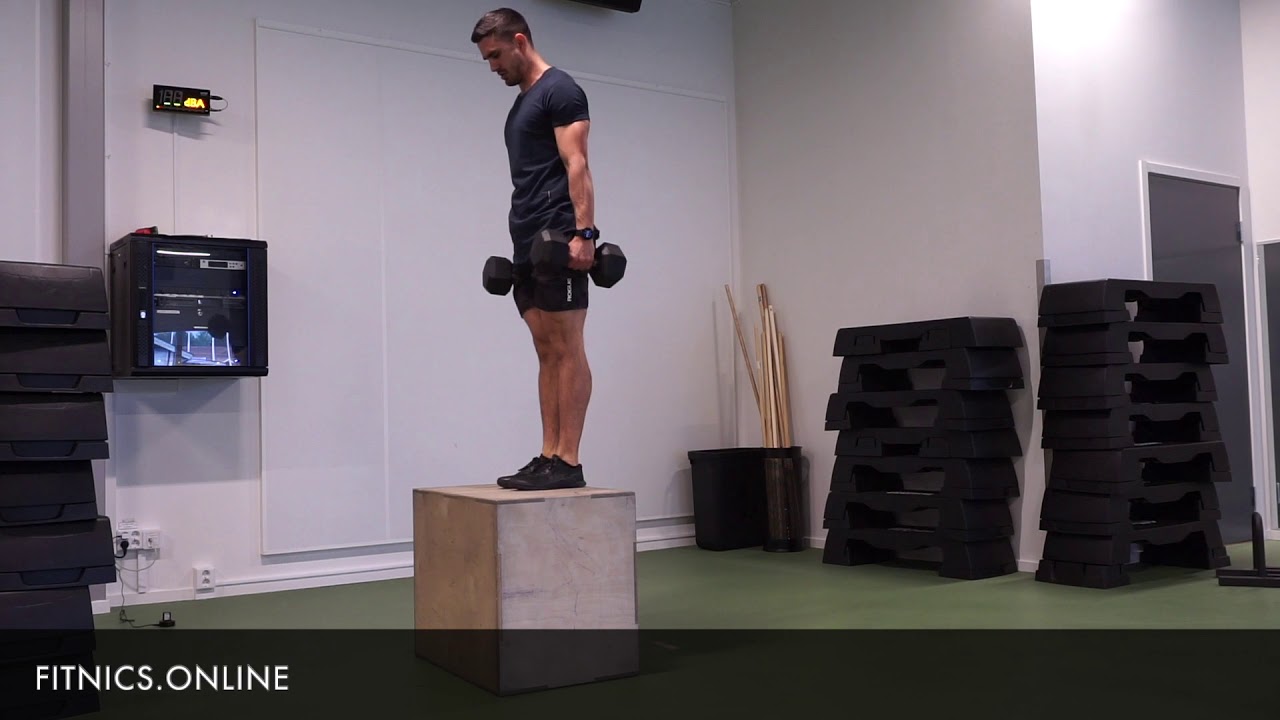 Dumbbell Reverse Lunge into Box Step Up - YouTube