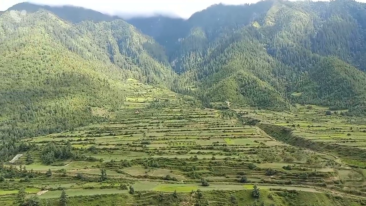 Babira Jumla - YouTube