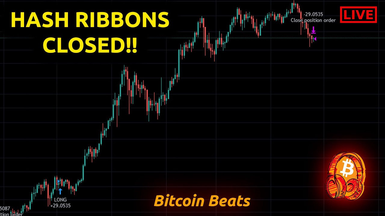 BITCOIN CAPITULATION SIGNAL GIVEN!!! Bitcoin Analysis April 2021 - YouTube