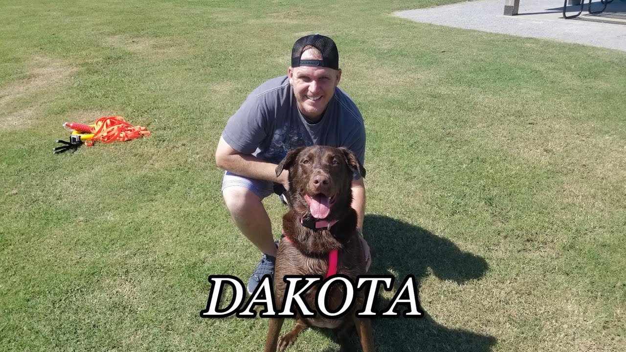 Dakota Swim Lesson - YouTube