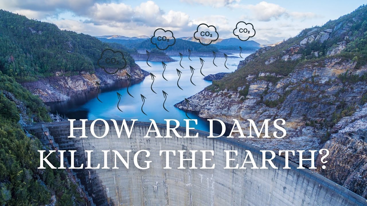 How are dams killing the earth?/ Ecosystem pollution caused due to dam ...