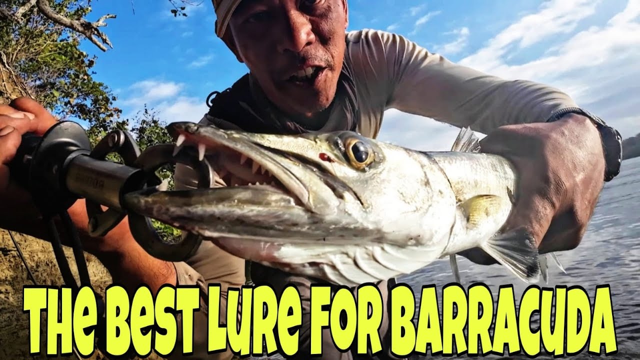The Best Lure for Barracuda Fishing In Jamaica - YouTube