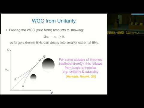 Gary Shiu - Weak Gravity Conjecture from Unitarity 9-19-2018 - YouTube