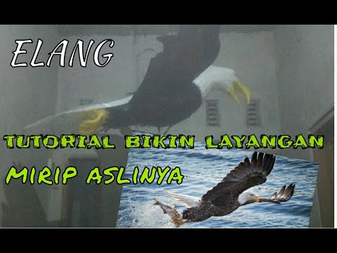 TUTORIAL CARA BIKIN LAYANGAN ELANG PART 1 bagian badan - YouTube