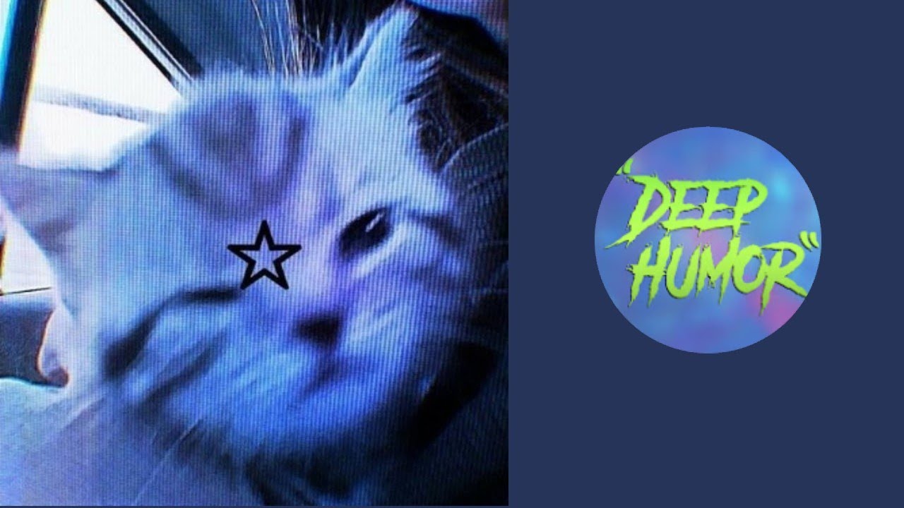 Loczip has returned... & the Deep Humor situation. - YouTube