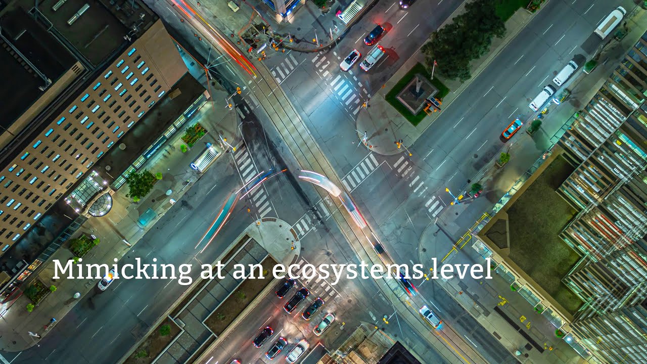 BIOMIMICRY mimics Nature - YouTube