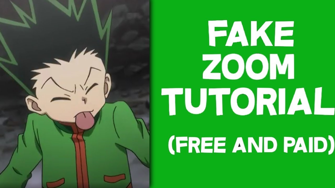 Fake Zoom Tutorial (Free & Paid) VideoStar - YouTube